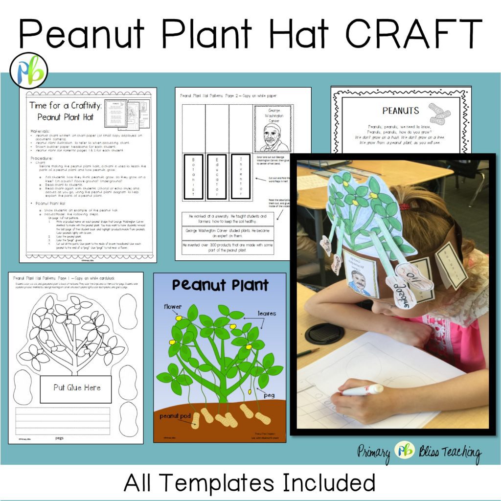 George Washington Carver : Reading Writing & Peanut Plant Hat Making