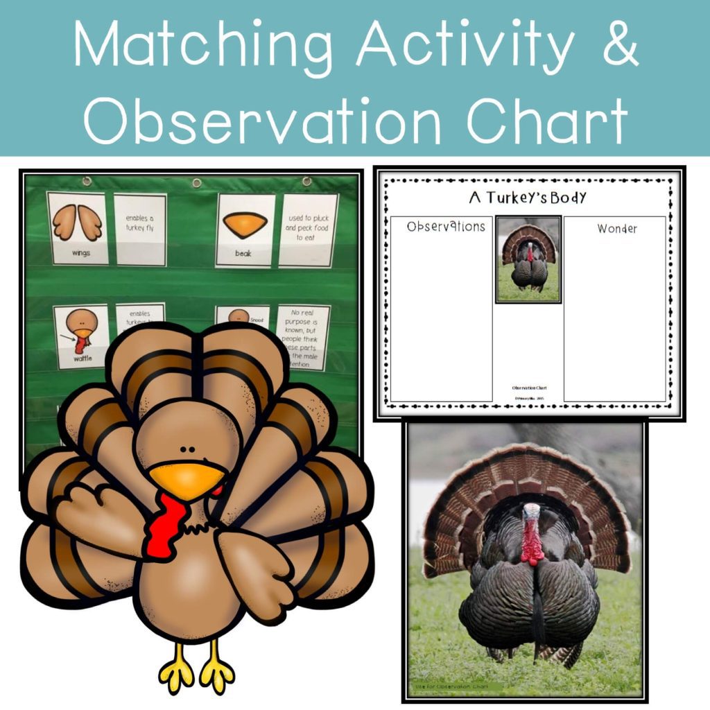 Turkeys ~ Science, Reading, Writing, Craft Unit (Body Parts and Functions)