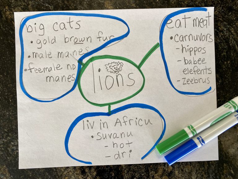 TEACHING INFORMATIVE WRITING IN FIRST GRADE - Primary Bliss Teaching